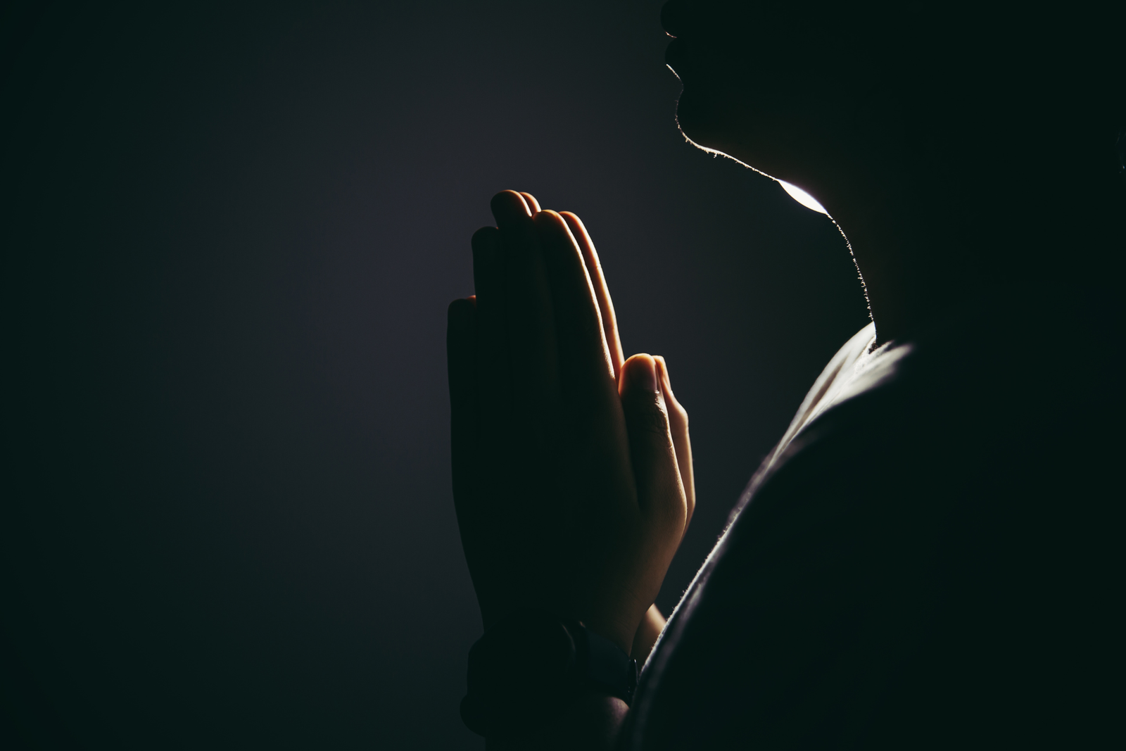 Hope leads us through life against darkness – The Voice of Shepherd ...